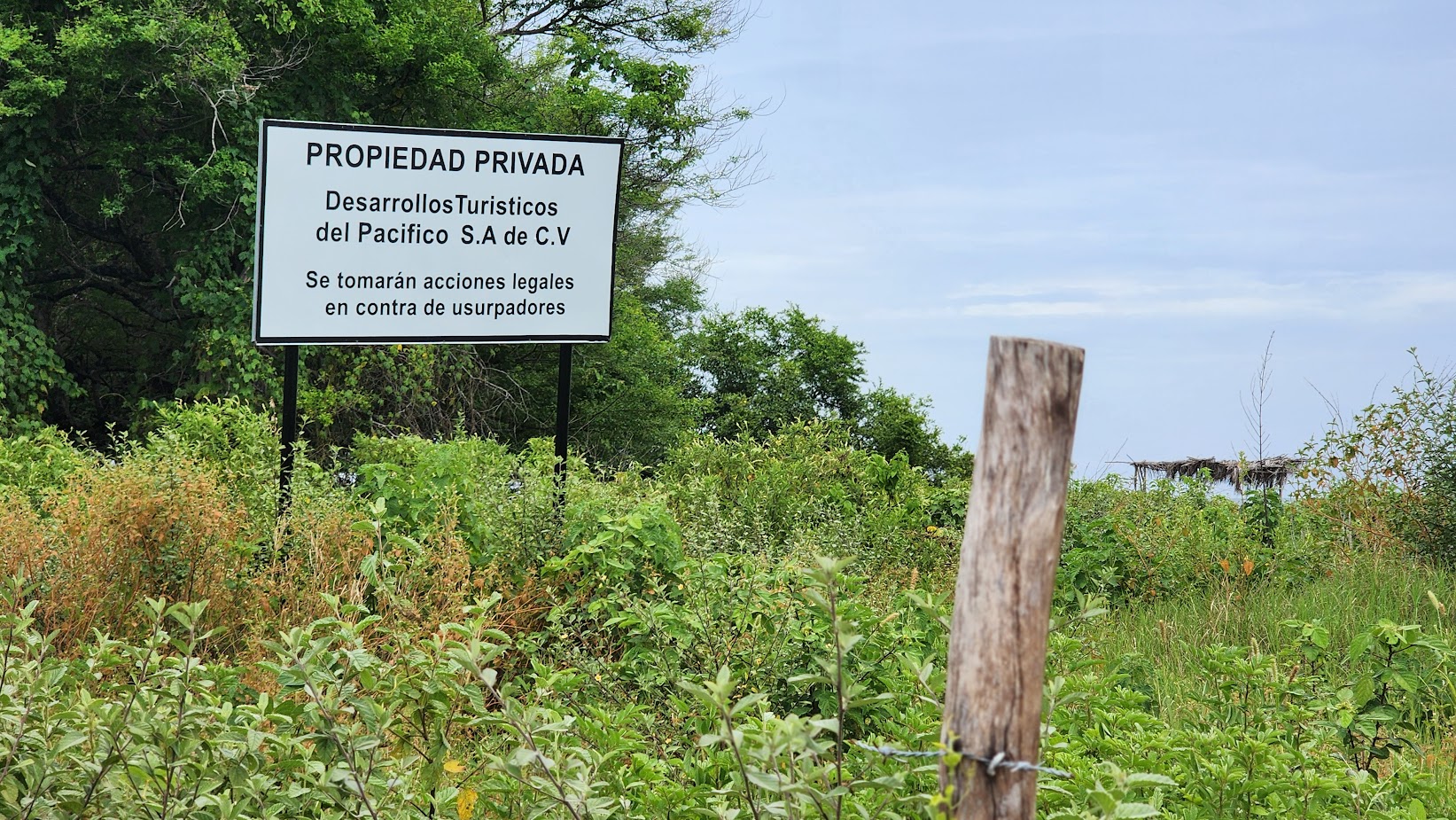 Familias de playa El Icacal en Intipucá obligadas abandonar sus tierras ...
